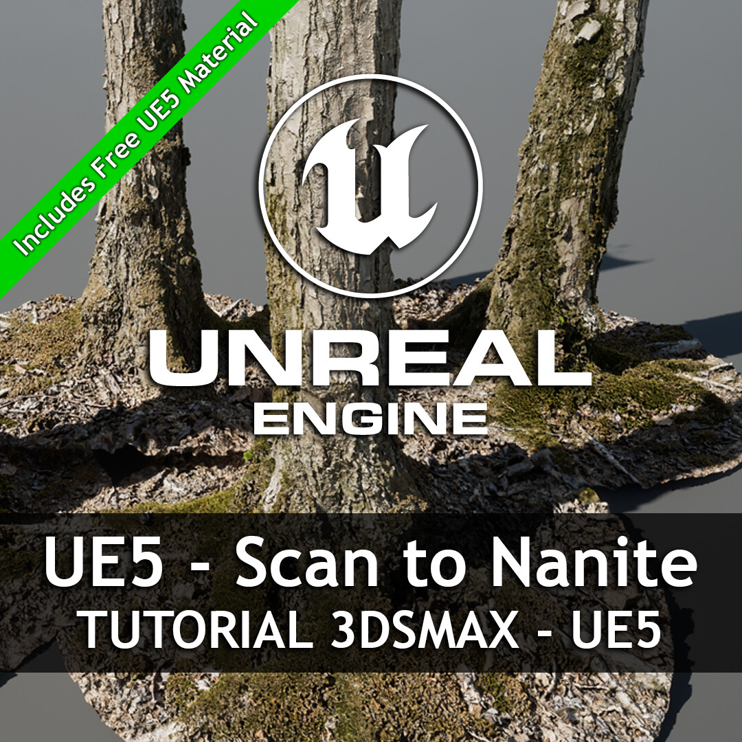 ArtStation - MAWI Tutorial | Unreal Engine 5 - Scandata to Nanite
