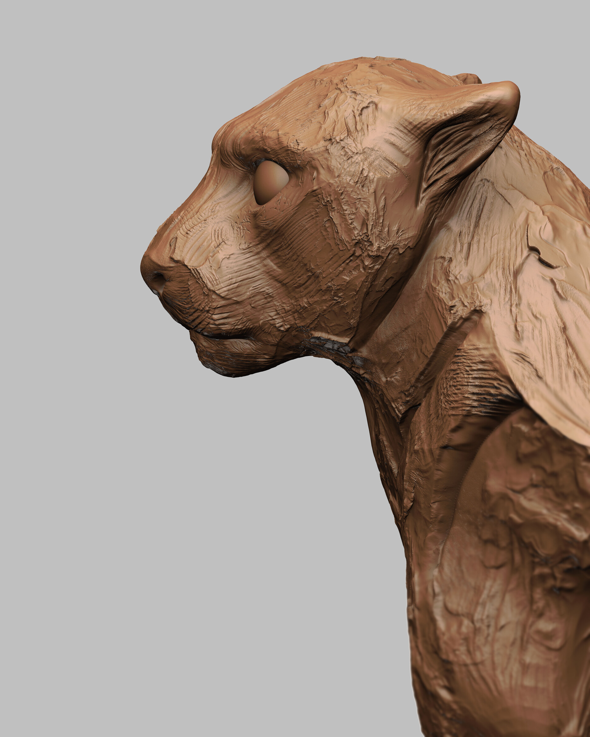 ArtStation - Digital Clay I Cheetah Bust