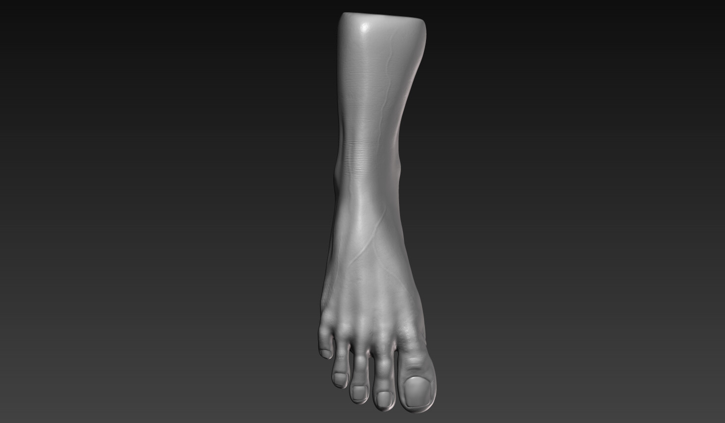 ArtStation - Humans toe