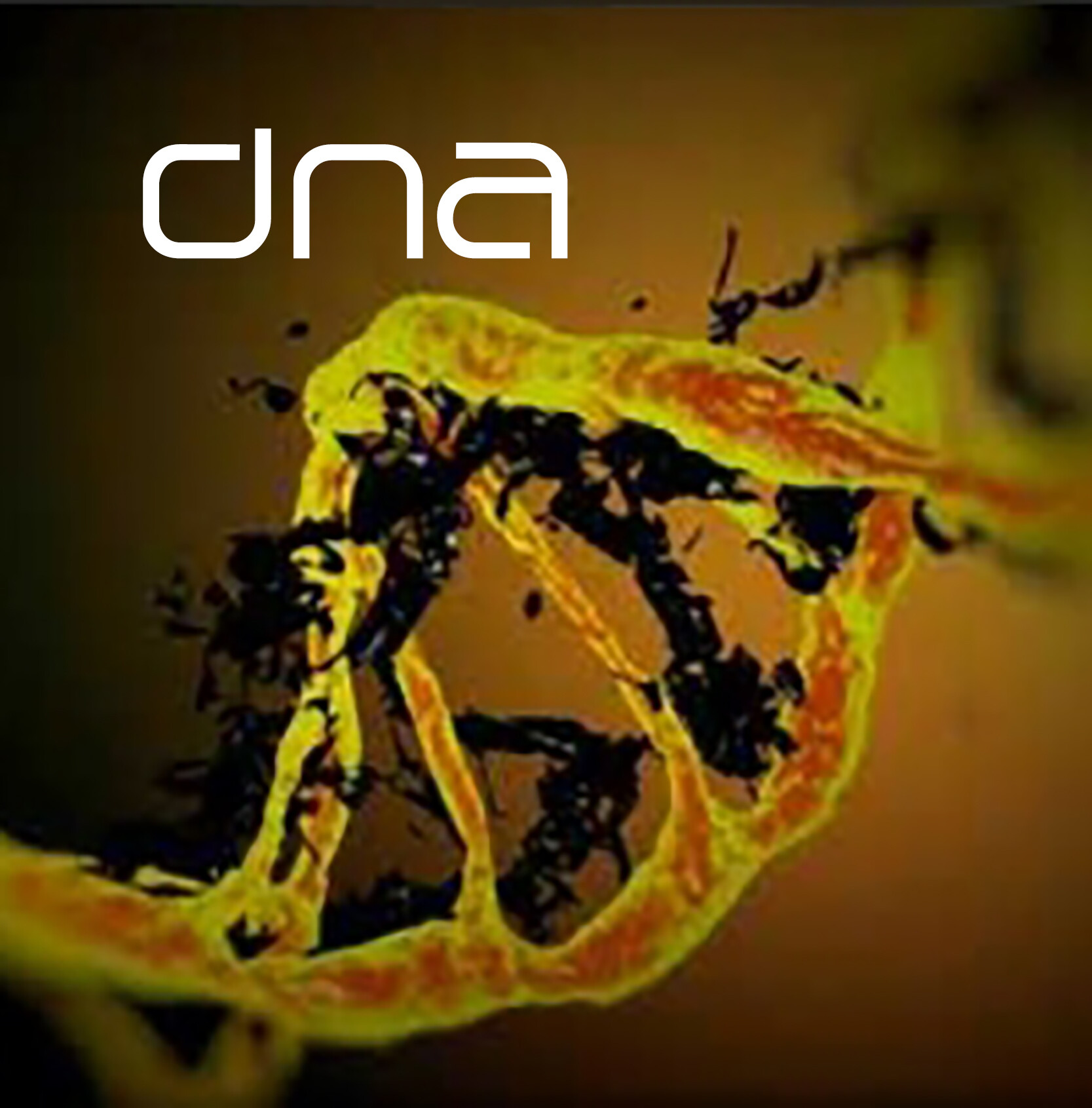 ArtStation - DNA