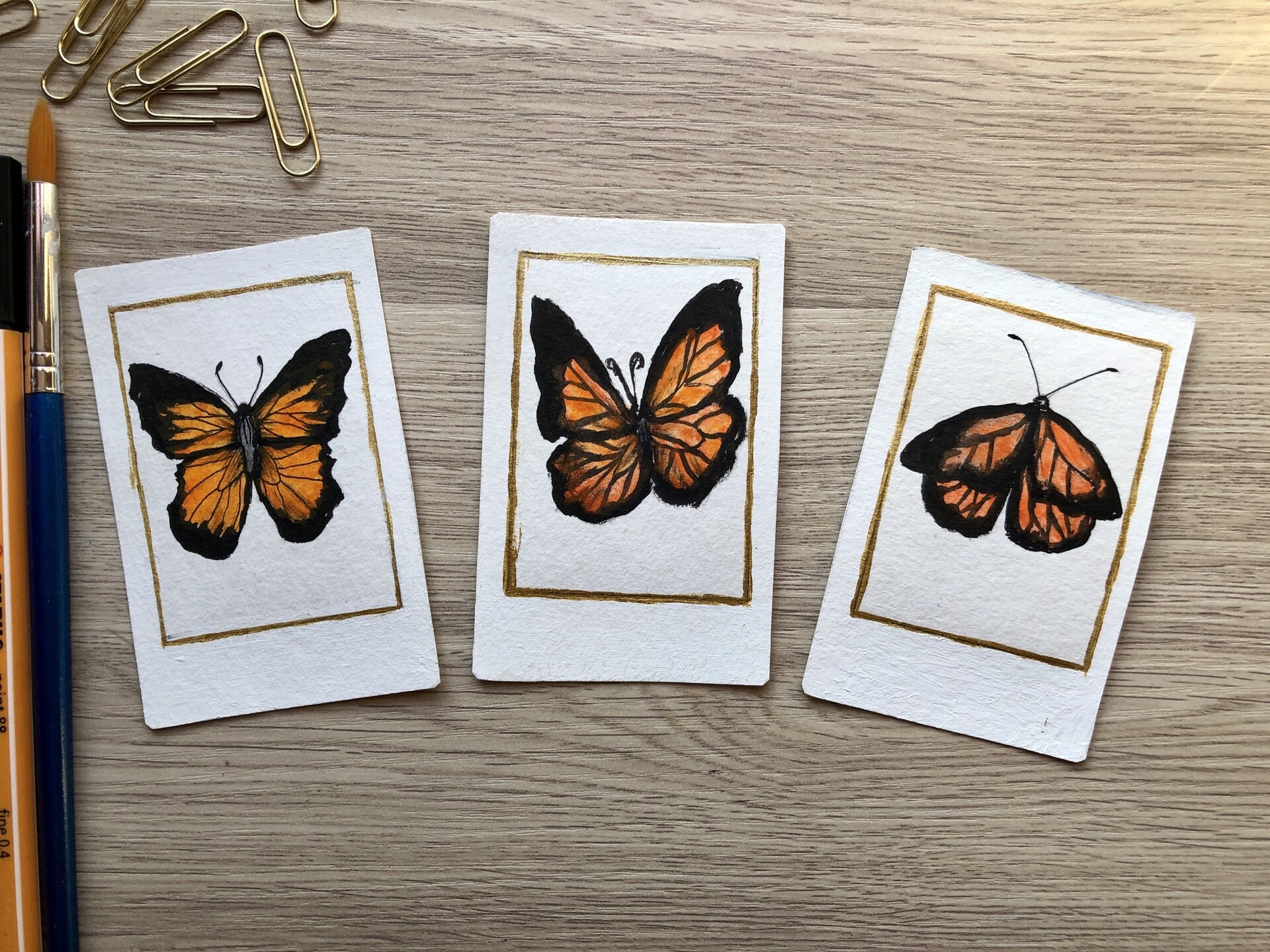 ArtStation - Polaroid Paintings. Butterfly Set