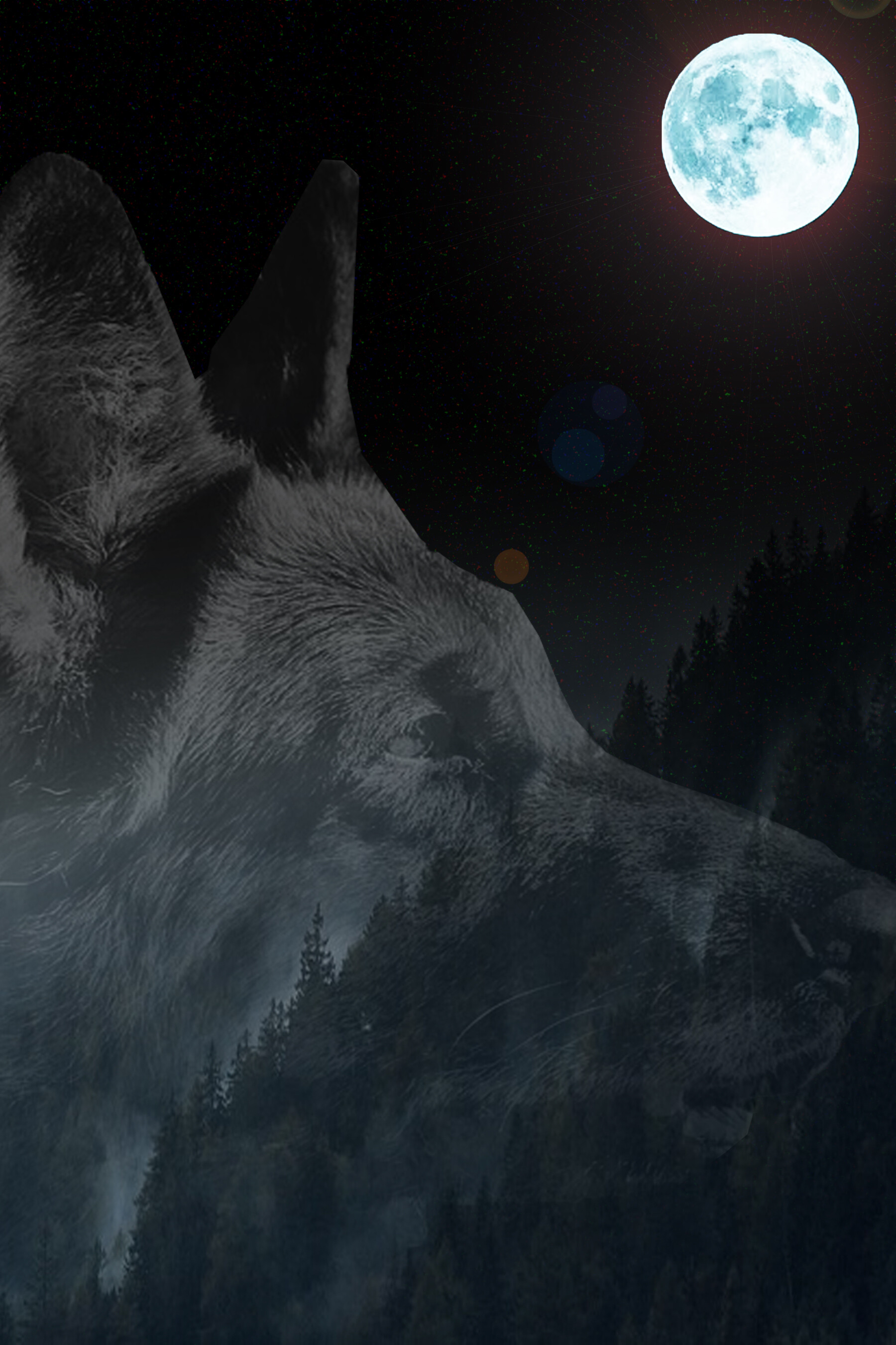 Matthew Taylor - The Companion