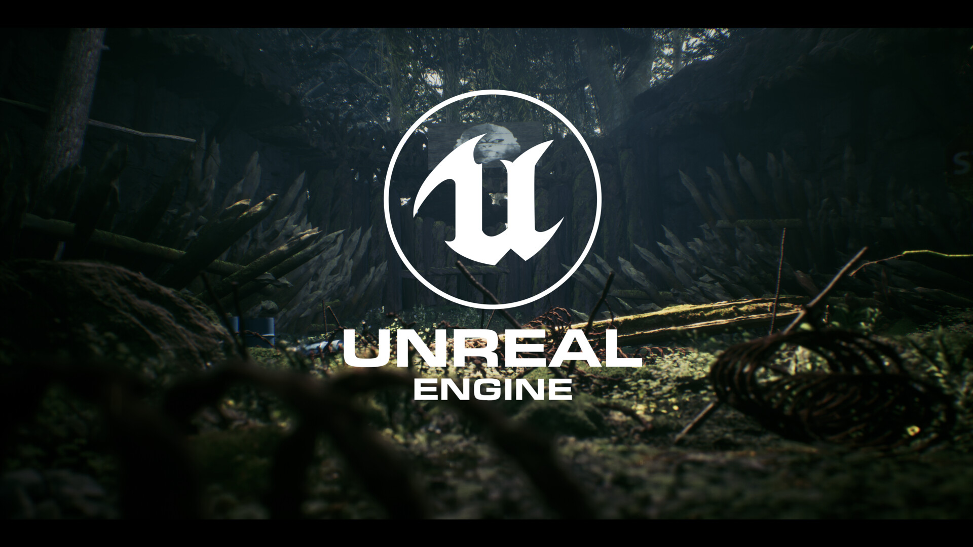ArtStation - Unreal 5 Forest Environment