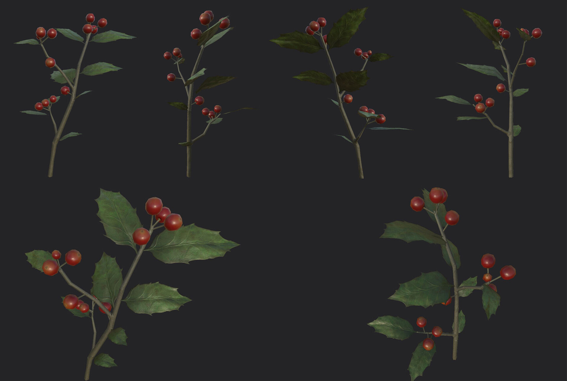 ArtStation - Plants Study