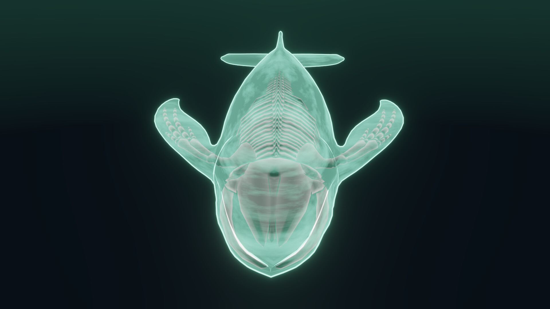 ArtStation - Astral&Ghost Whale