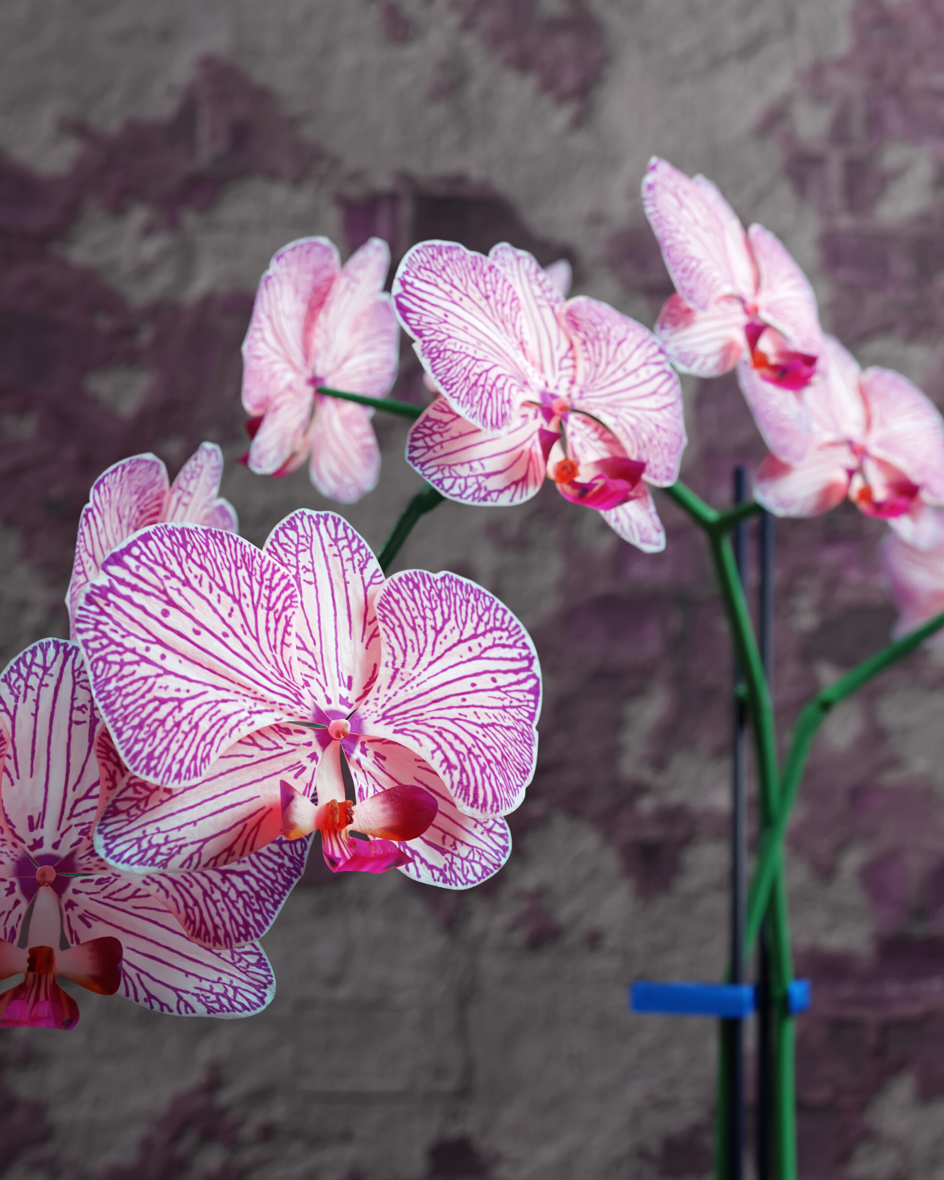 ArtStation - Orchids pack