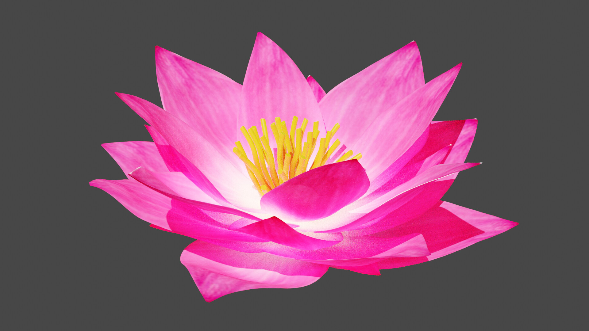 ArtStation - Fleur de Lotus