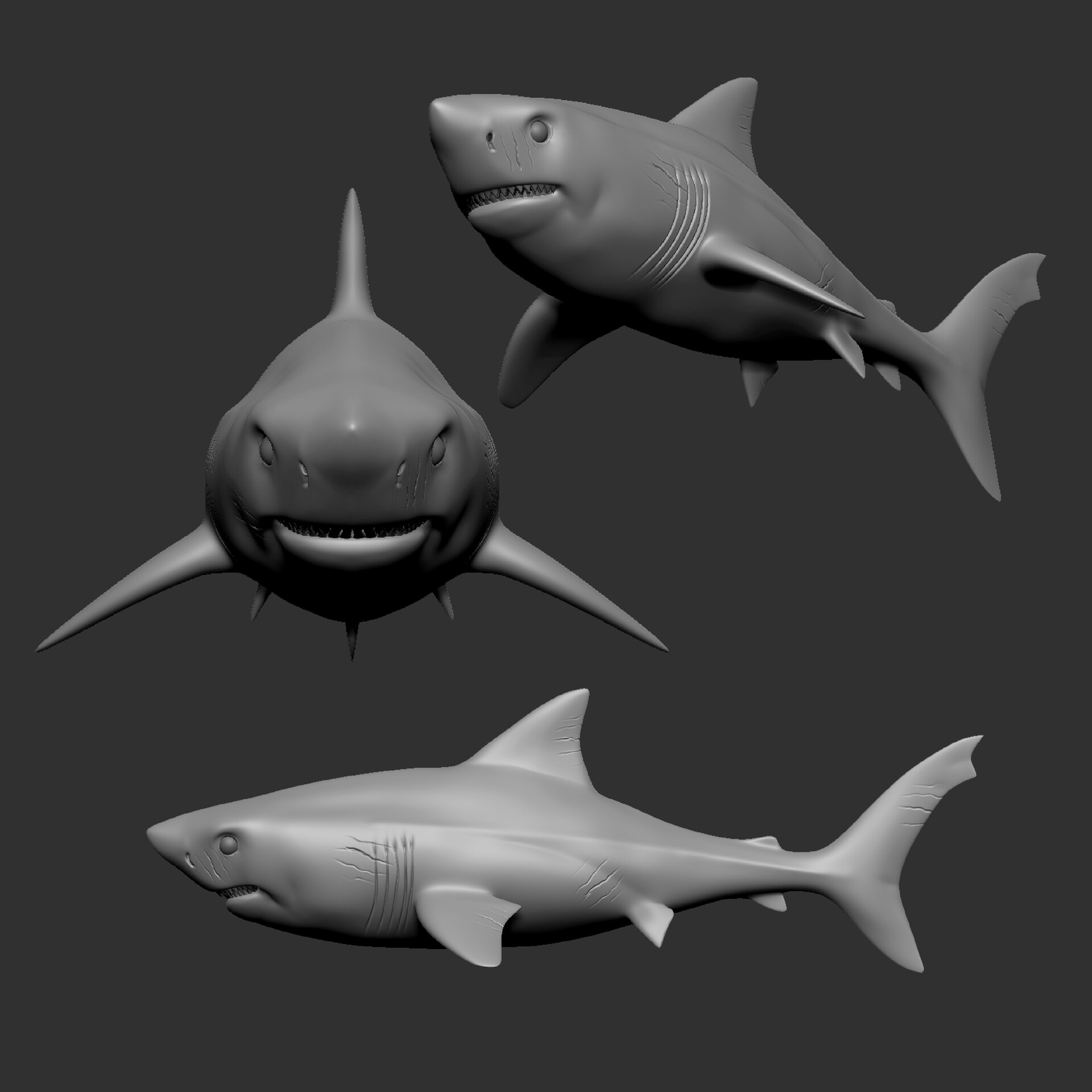 ArtStation - Shark study