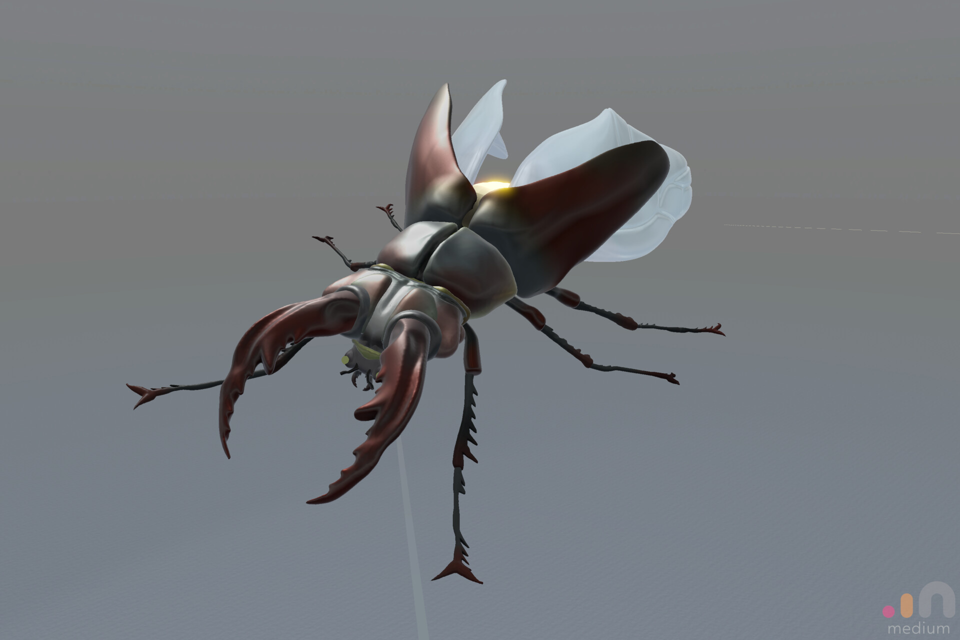 ArtStation - Insect study