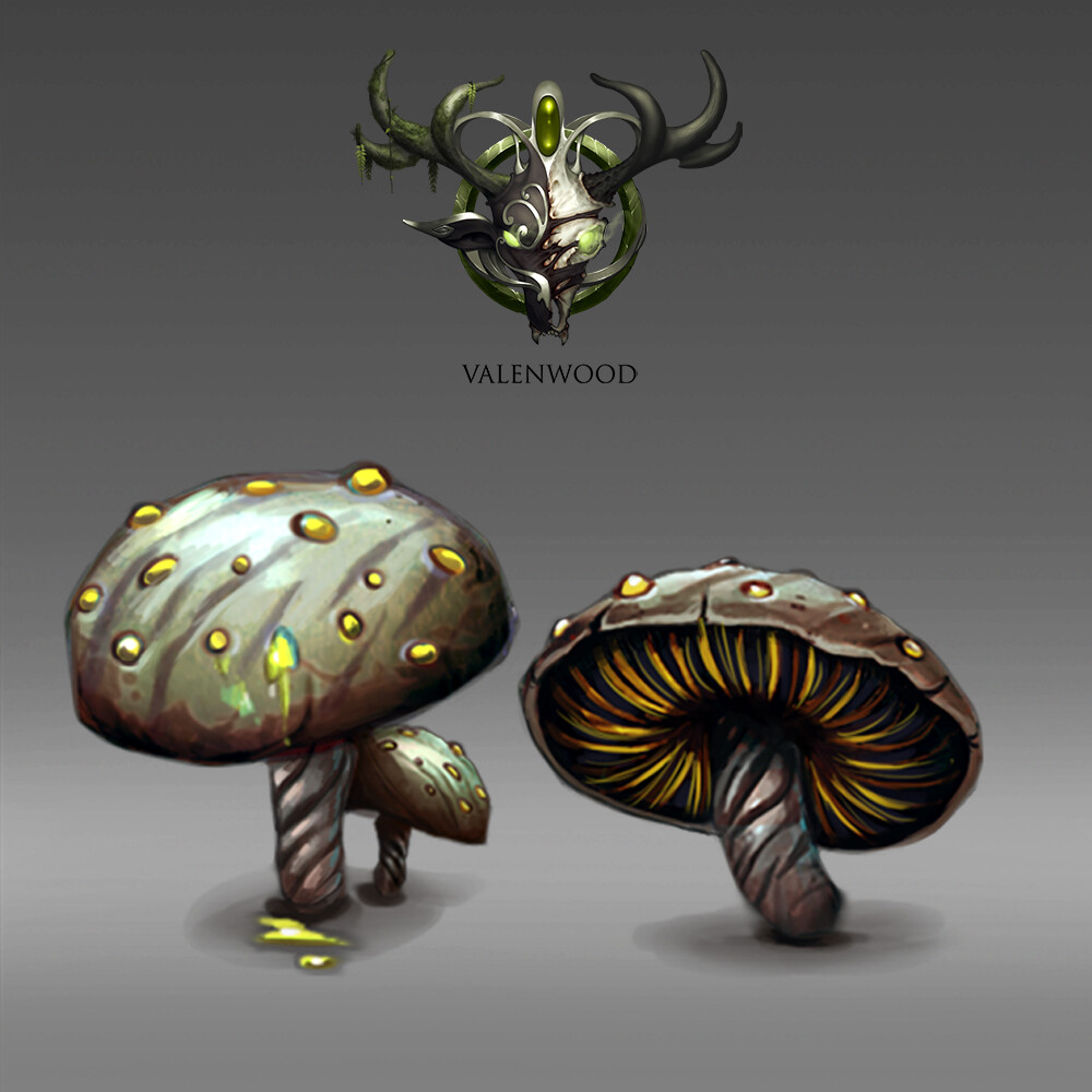ArtStation - Beyond Skyrim Valenwood | Toadstool