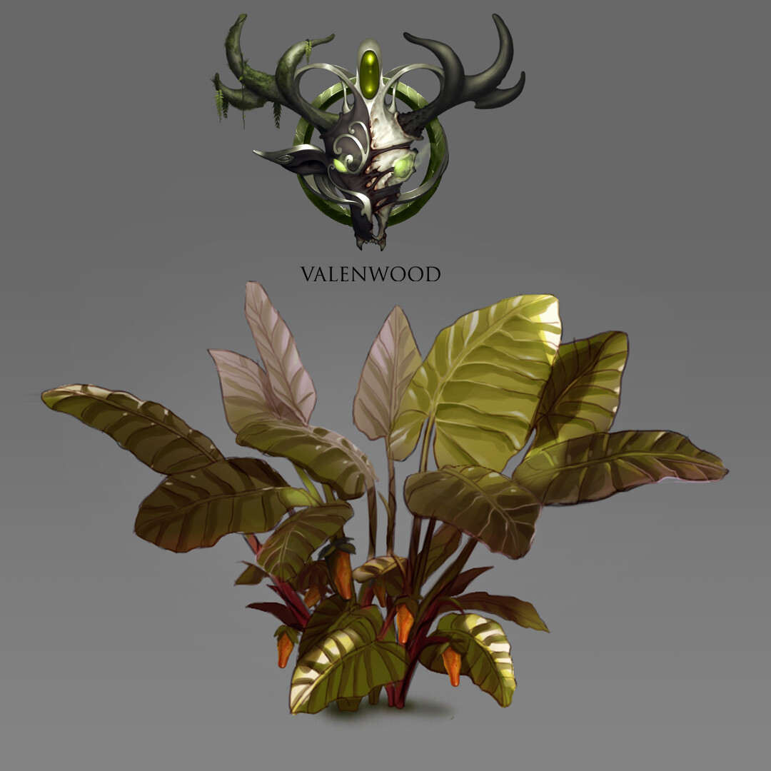 ArtStation - Beyond Skyrim Valenwood | Alocasia Plant