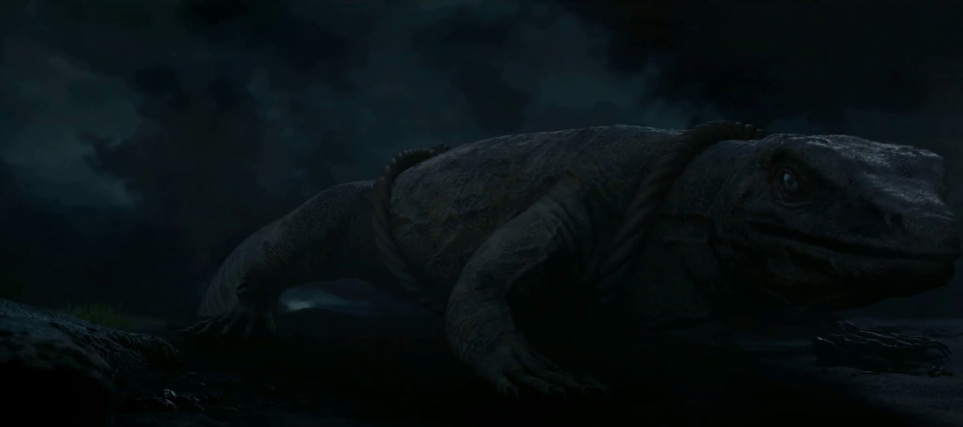 ArtStation - Moniter Lizard walking Cg Shot