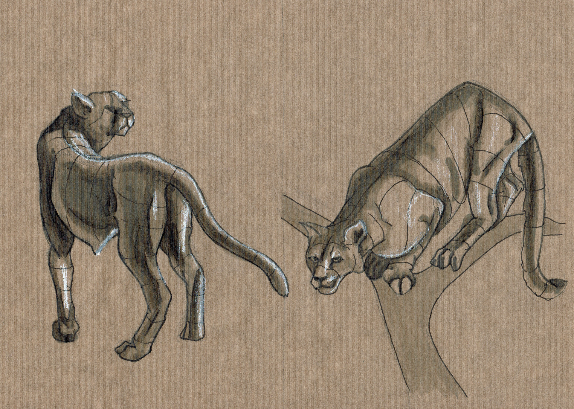 ArtStation - Form studies