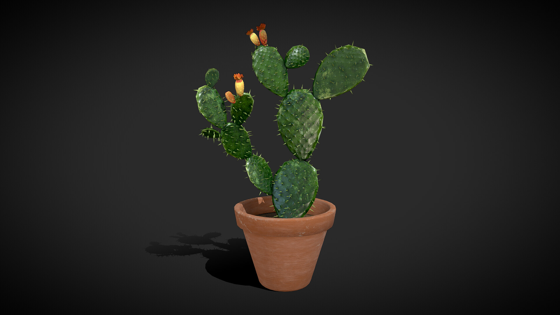 ArtStation - Cactus Pack