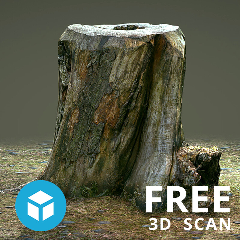 ArtStation - SCAN - Tree Stump