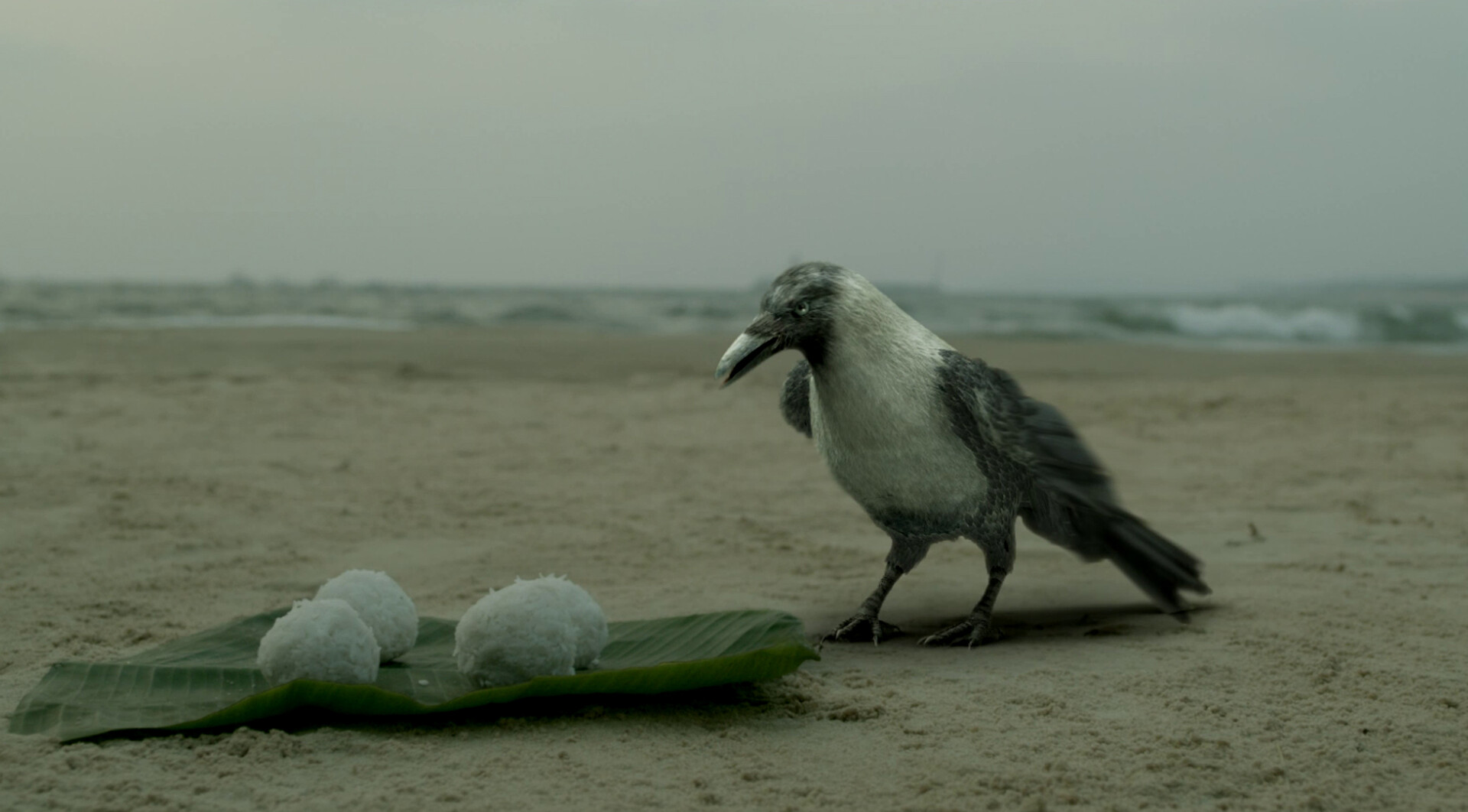 ArtStation - Bird CG Shot