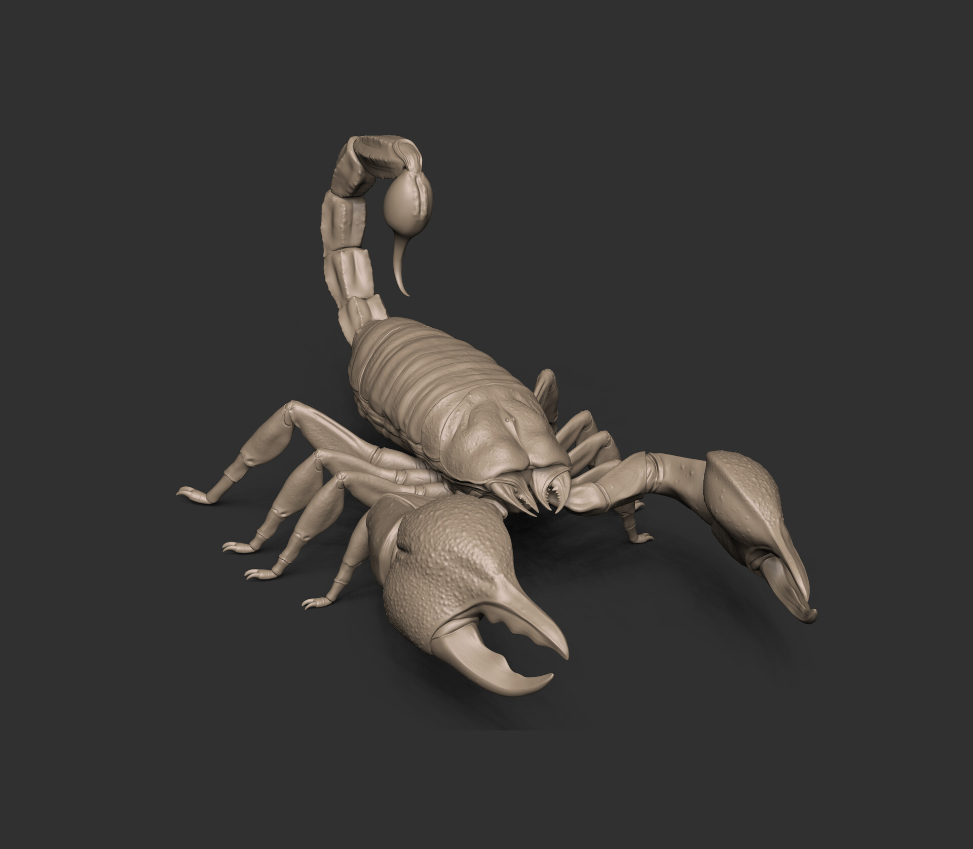 ArtStation - Scorpion