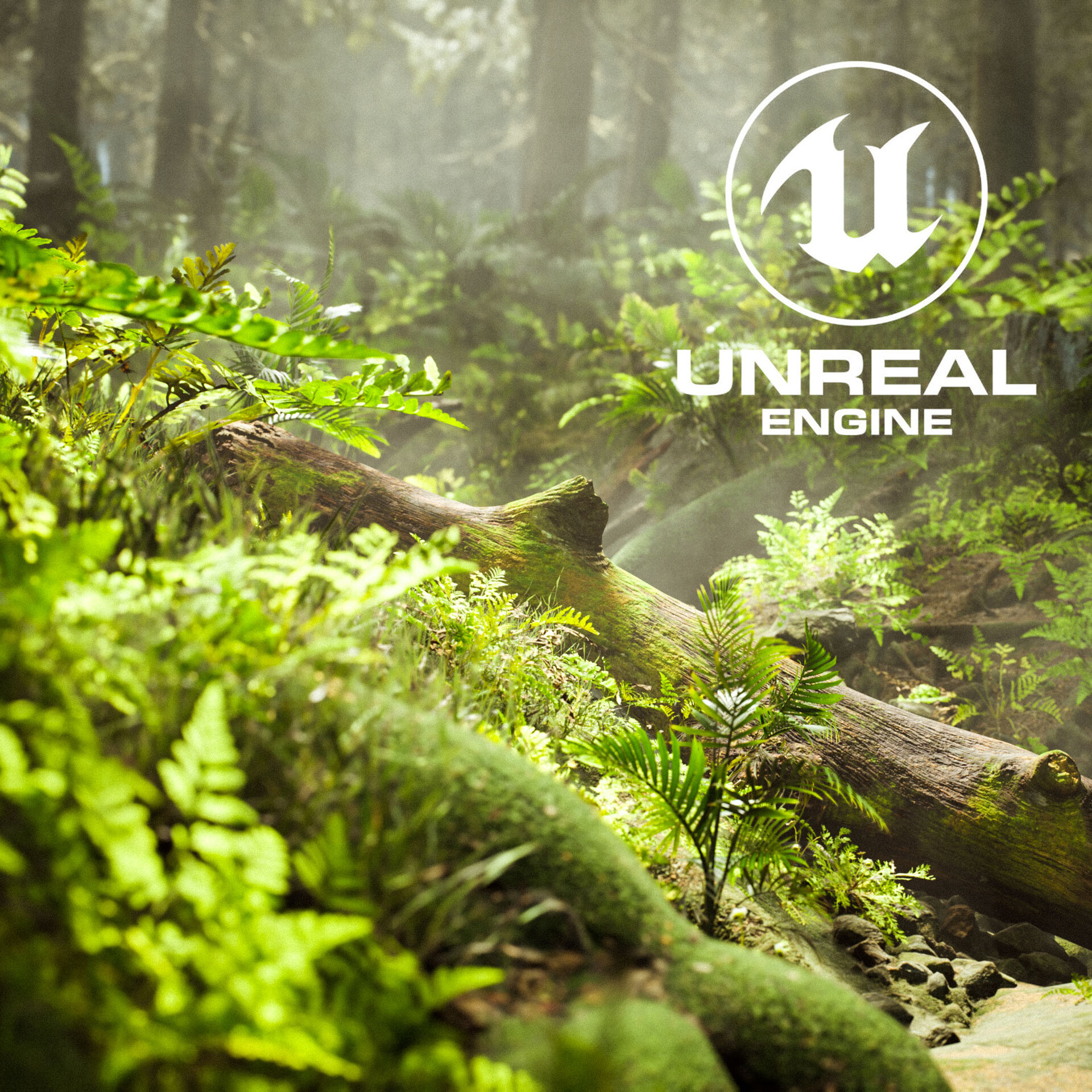 ArtStation - UE5-Forest scene render-UE4 versus UE5 lumen-4K