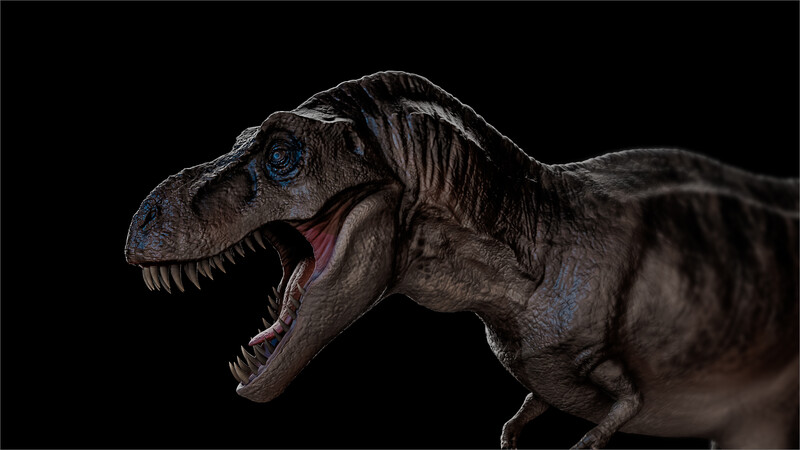 ArtStation - TERU official