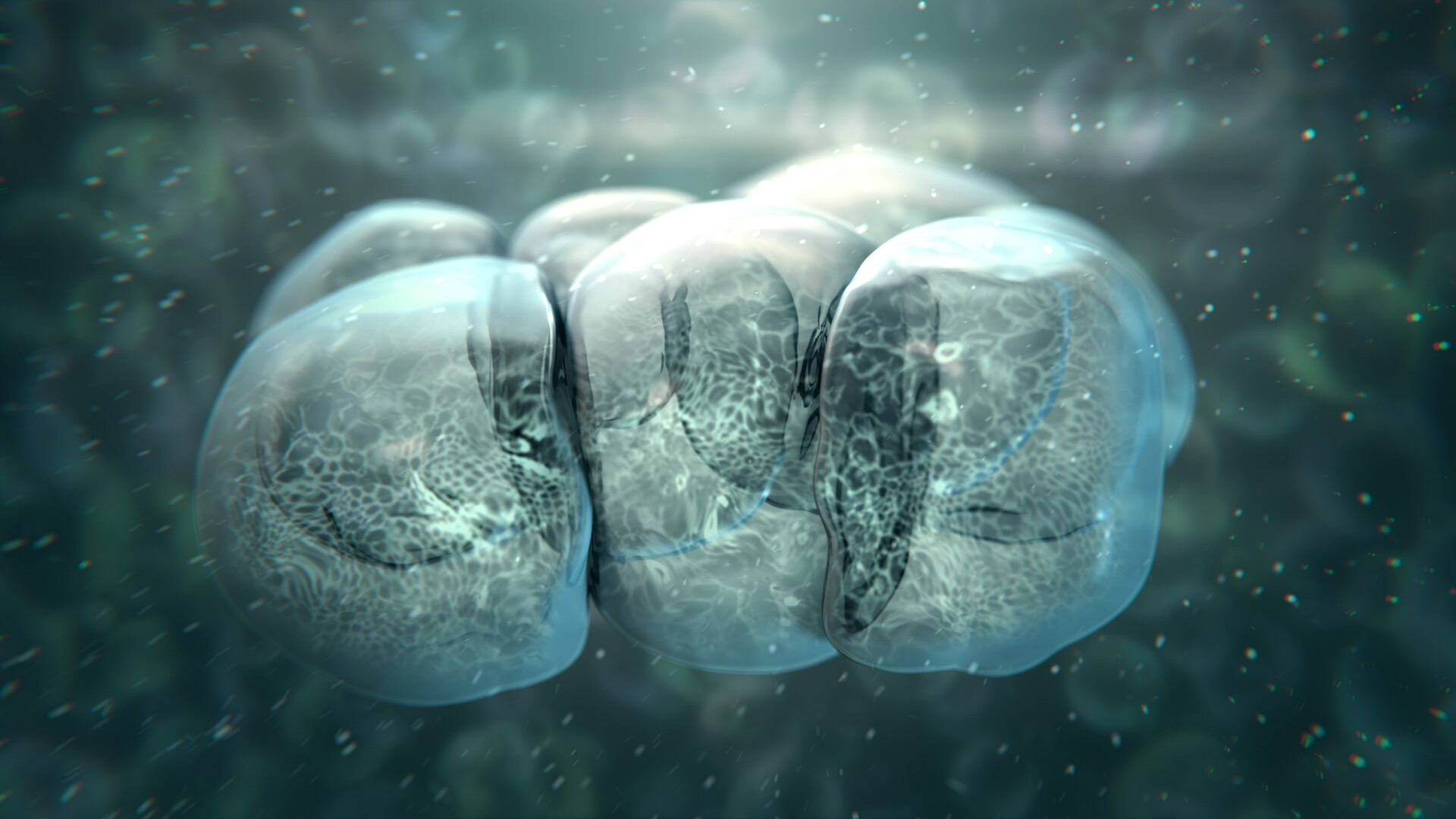 ArtStation - Cell Division