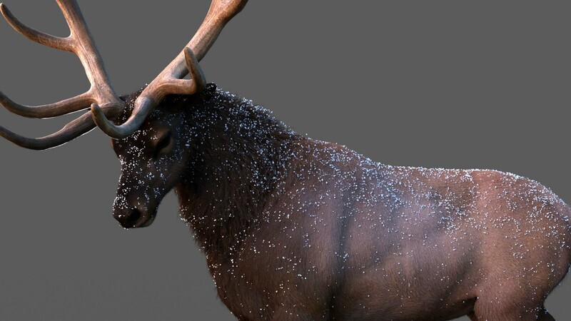 ArtStation - Elk vfx character animation