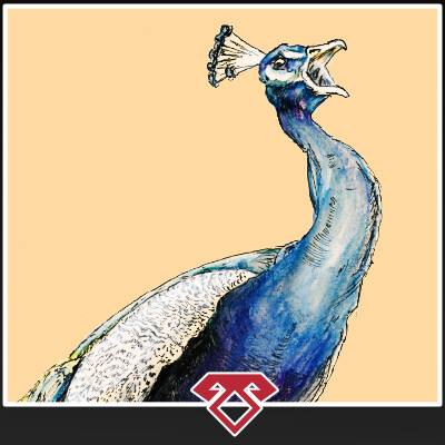 ArtStation - Crying Peacock