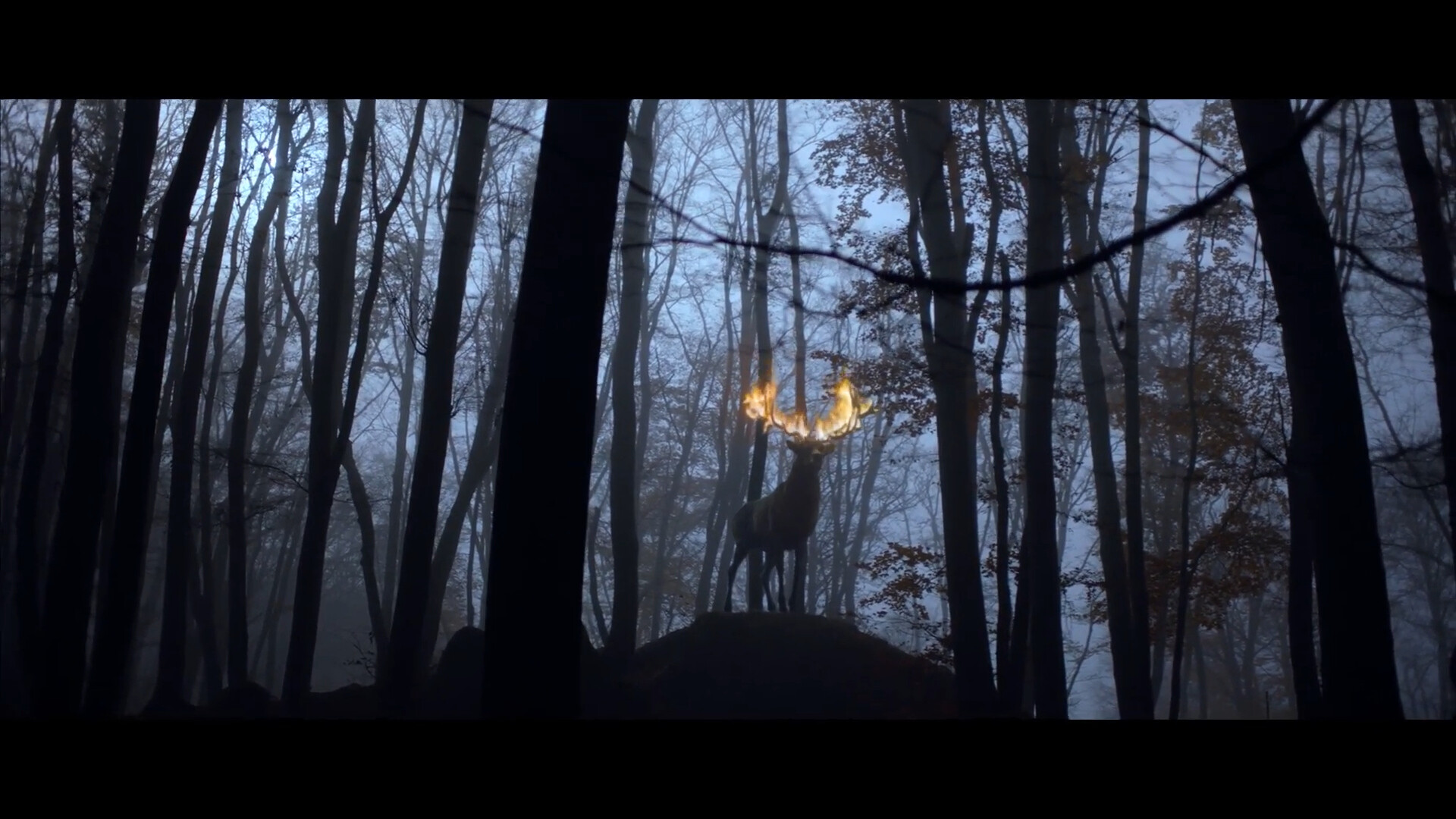 ArtStation - The Legend of the Miracle Stag