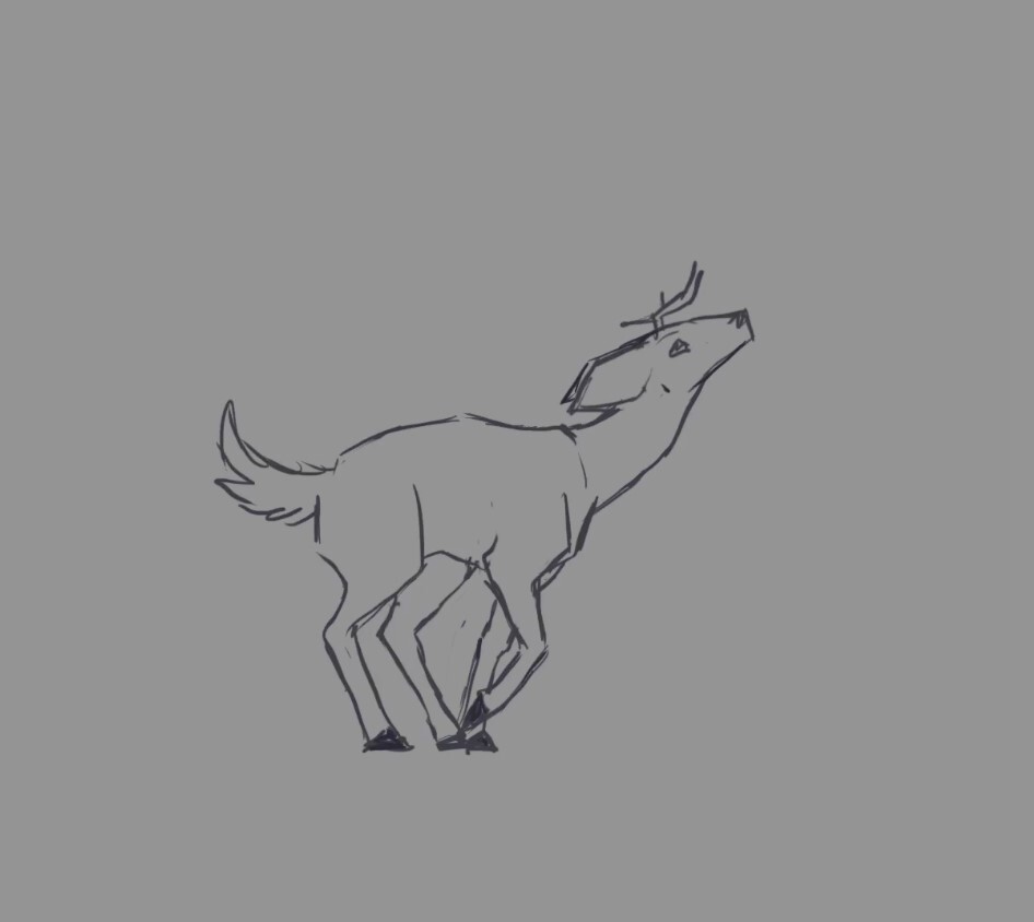 ArtStation - Wild Life (Animation test-Transformation)