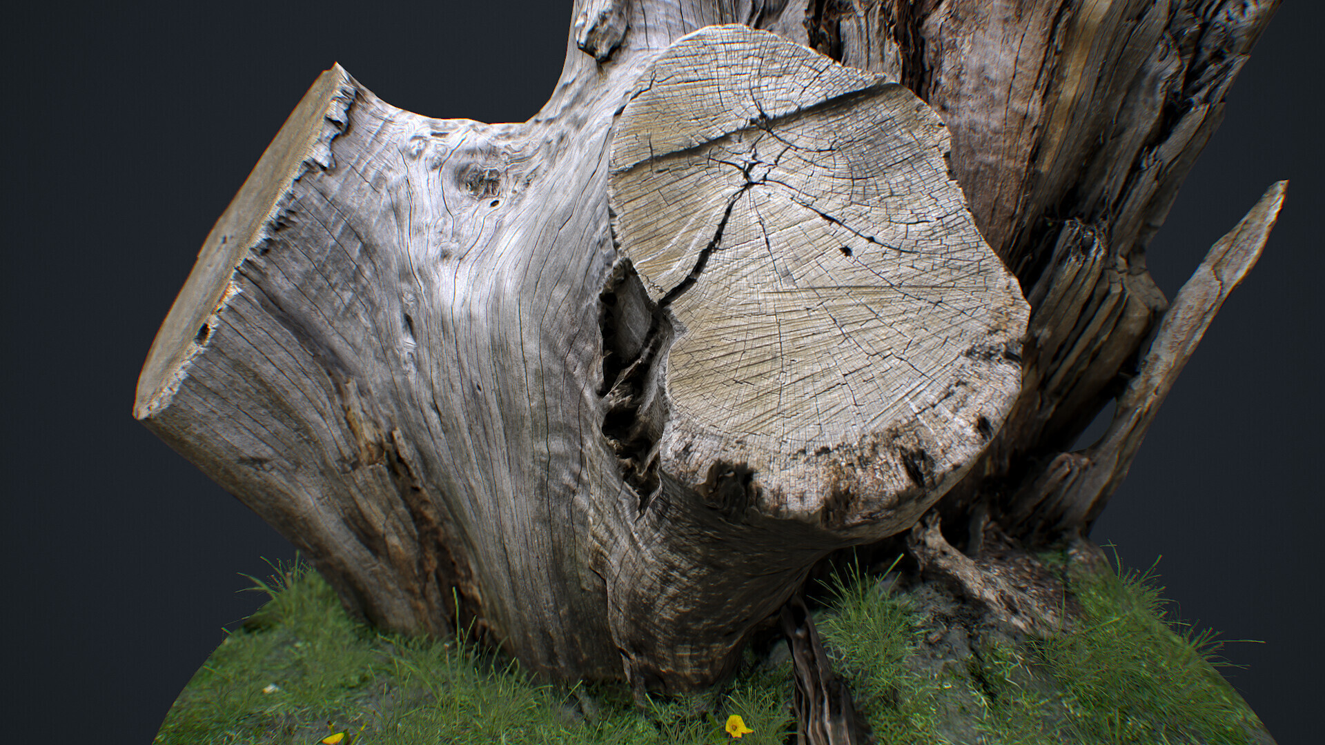 ArtStation - Photogrammetry: Tree Log