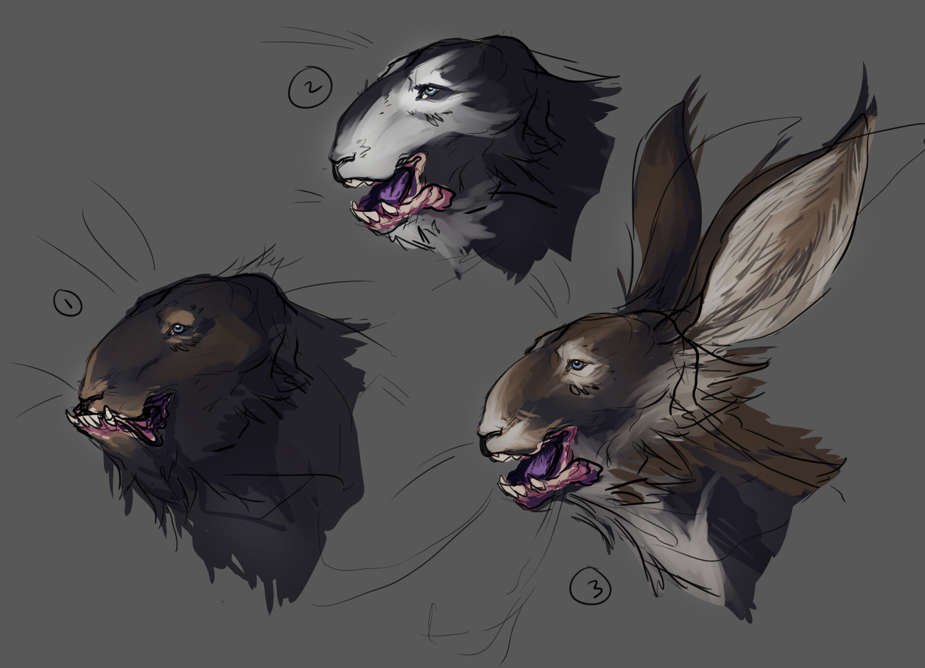 ArtStation - Hare Hound (Jackalope Head Concepts)