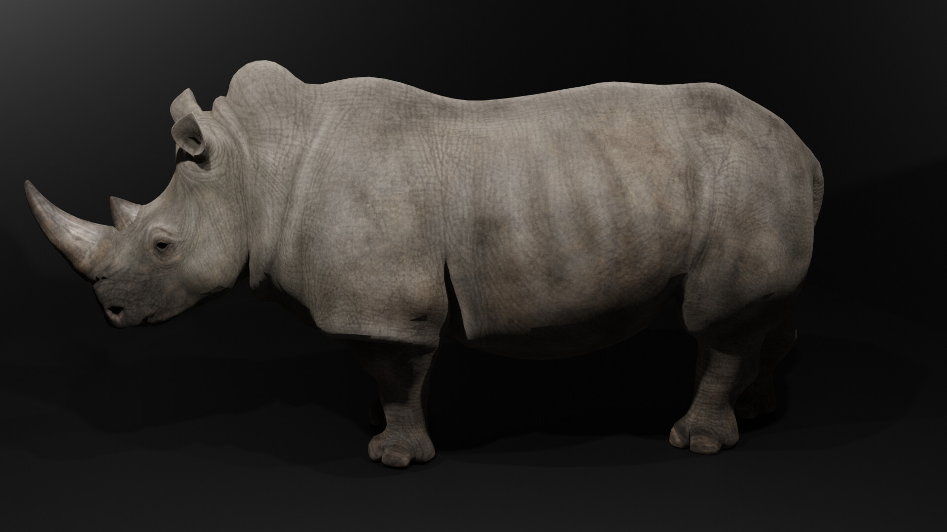 ArtStation - White Rhinoceros