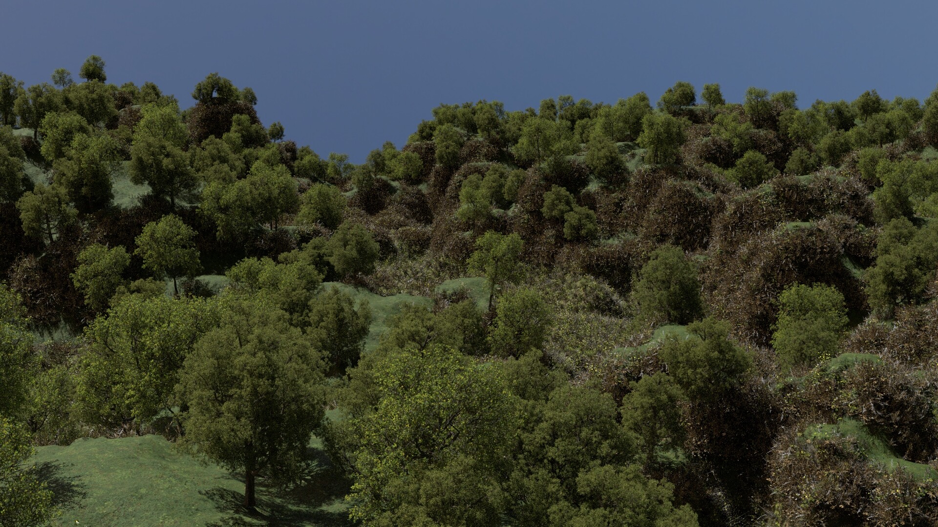 ArtStation - forest cg environment