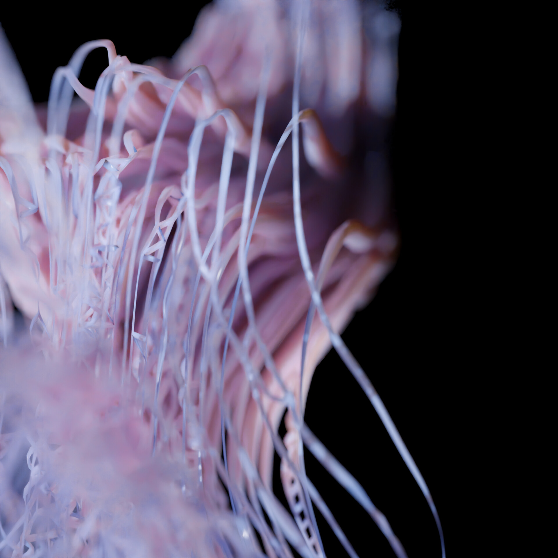 ArtStation - Organic