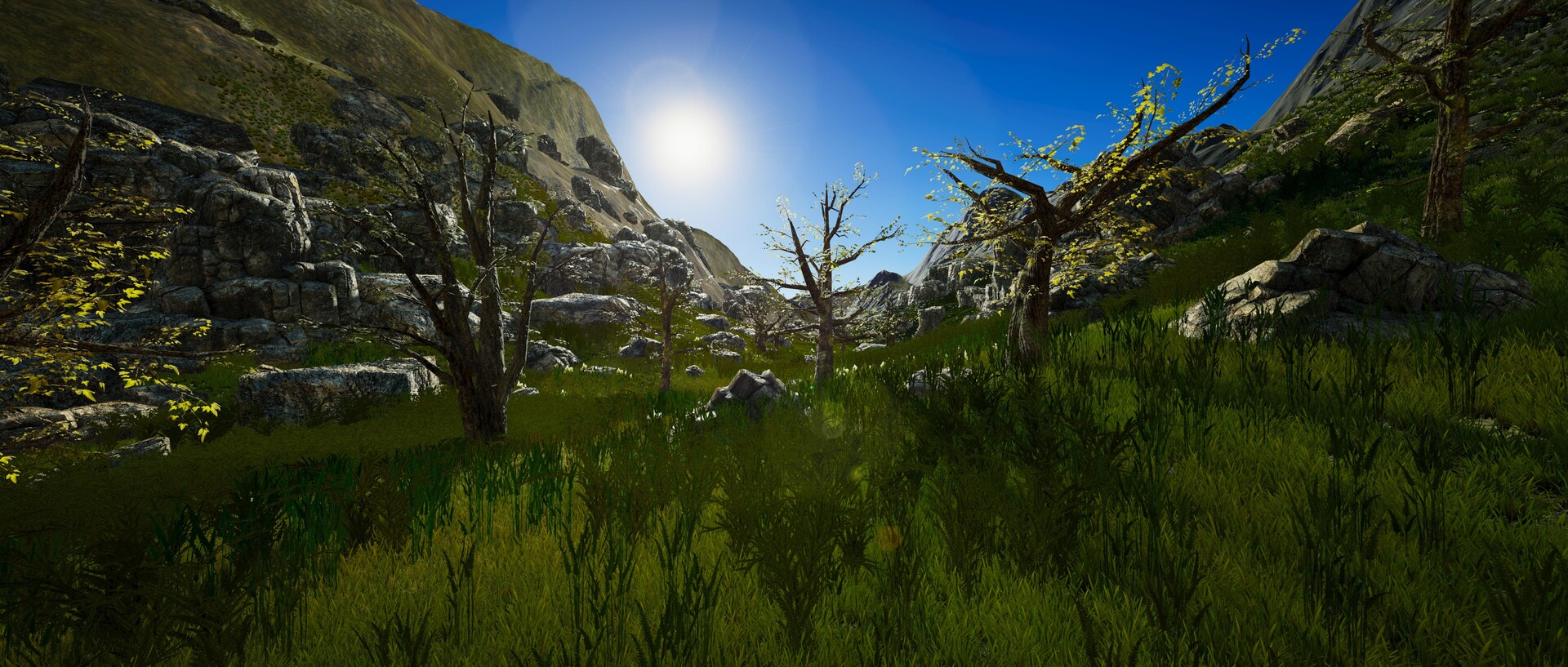 ArtStation - Level design in Unity 2021.1 - Landscapes