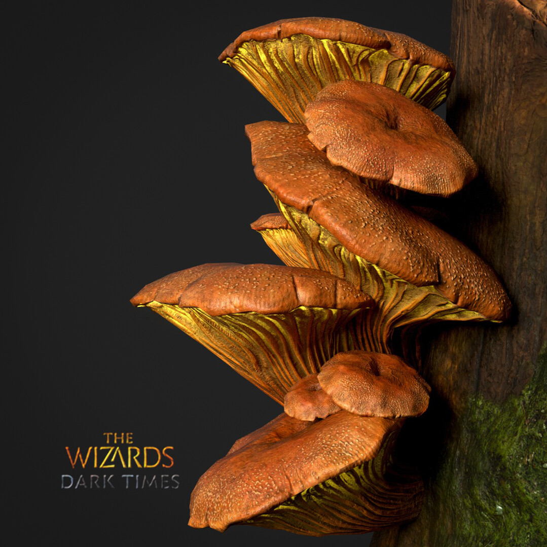 ArtStation - Magic Mushrooms