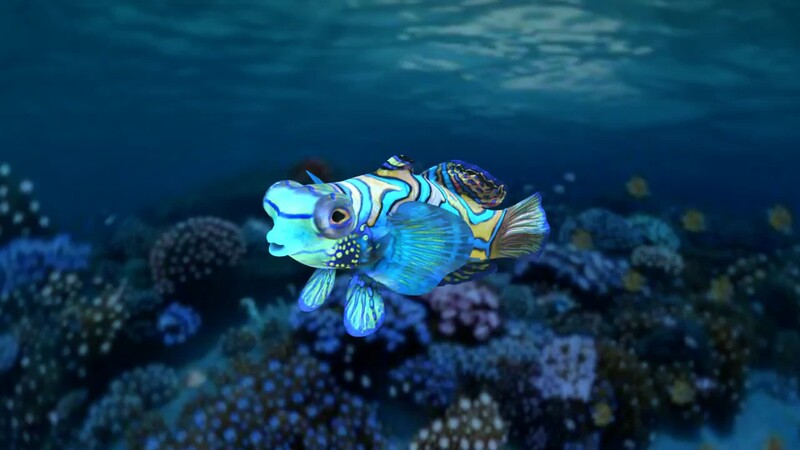 ArtStation - vikas goud