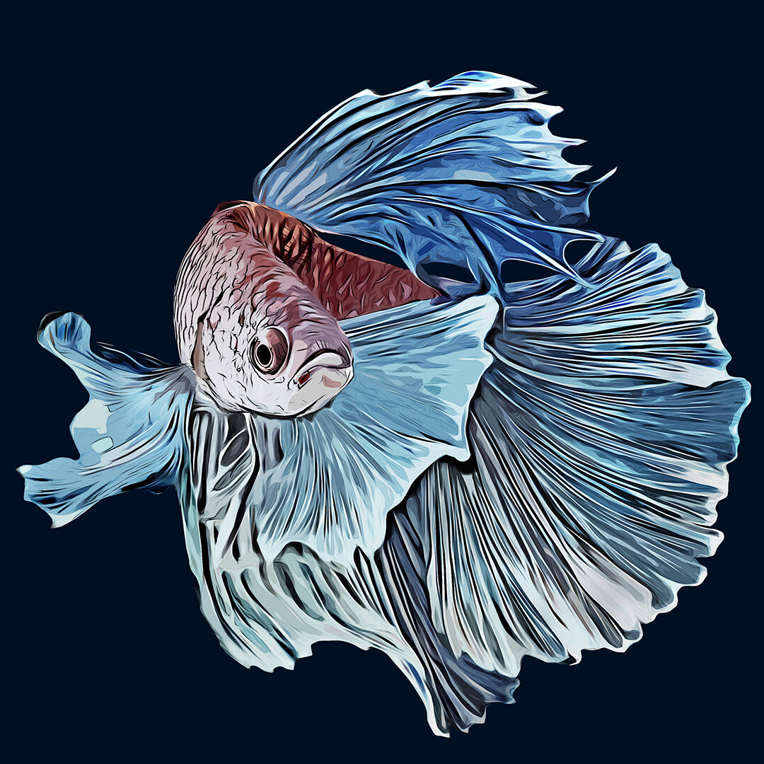 ArtStation - Betta splendens / Siamese fighting fish