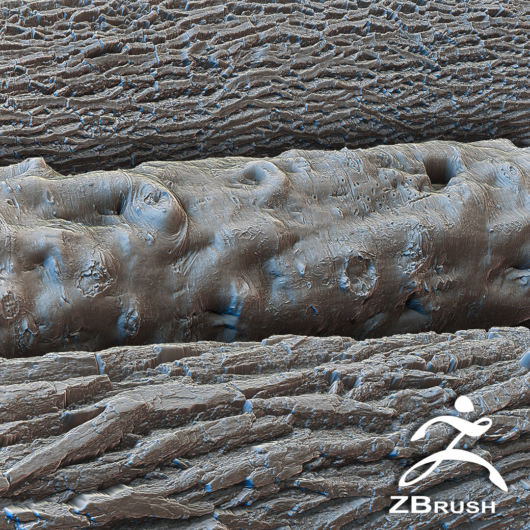 ArtStation - Ultra HQ Tree Bark Seamless Sculpt Zbrush brushes + Alphas ...
