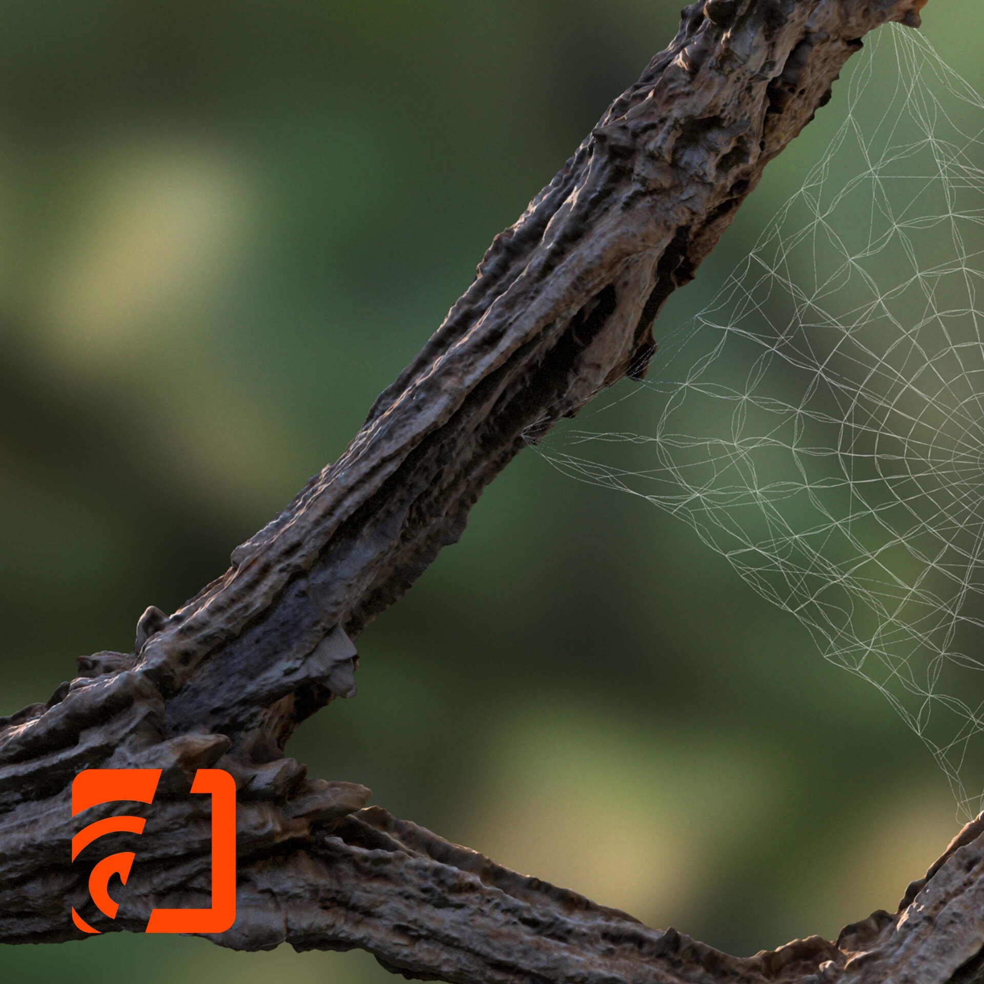 ArtStation - Procedural Spider Web