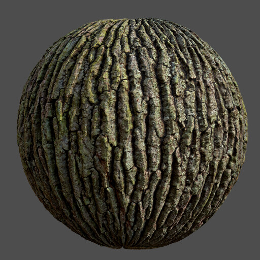 ArtStation - Bark texture