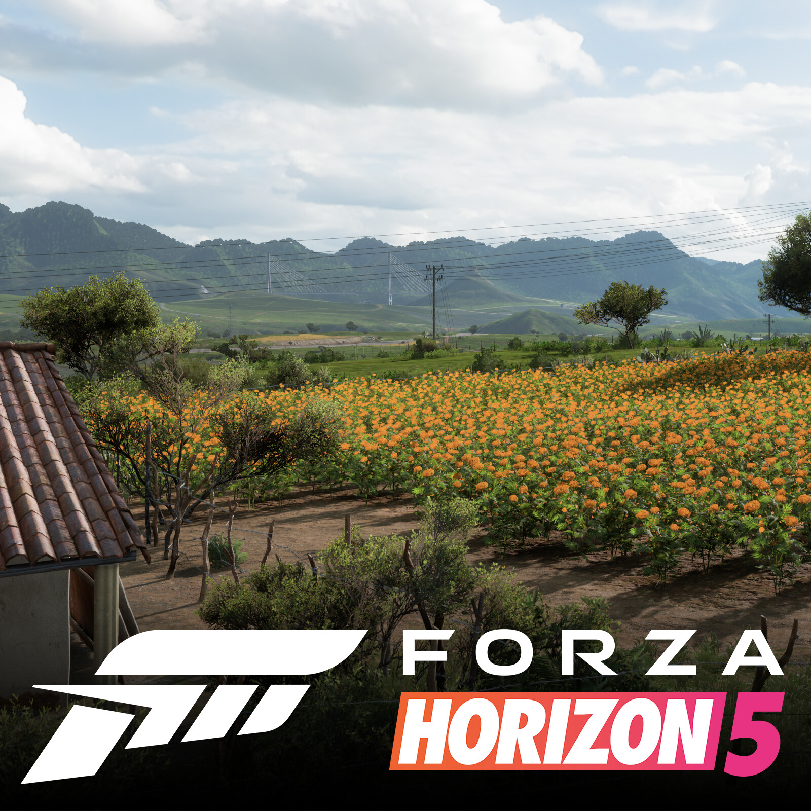 ArtStation - Forza Horizon 5 - Environment Art