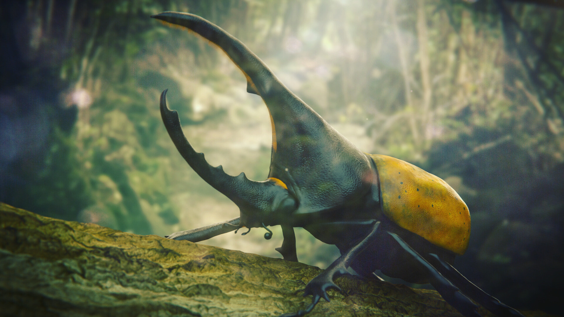 ArtStation - Hercules beetle
