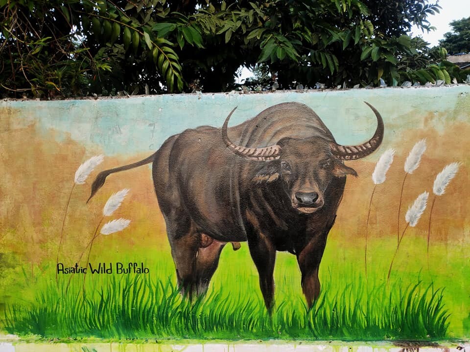 Art for Nature - Wall art at Guijan
