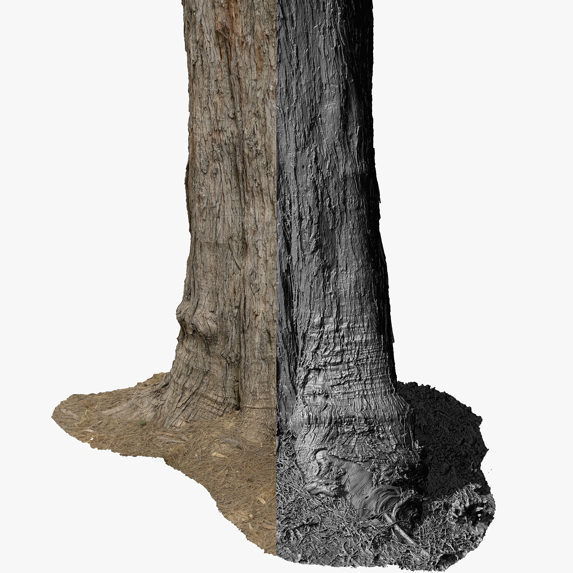 ArtStation - Tree 3D Scan 10x4k & 4x16k Textures mBJT02