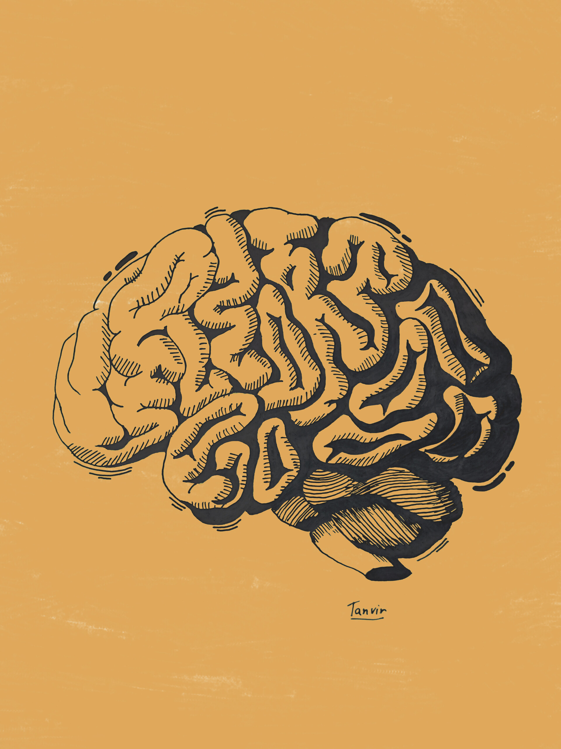 ArtStation - Brain- Gel Pen Art