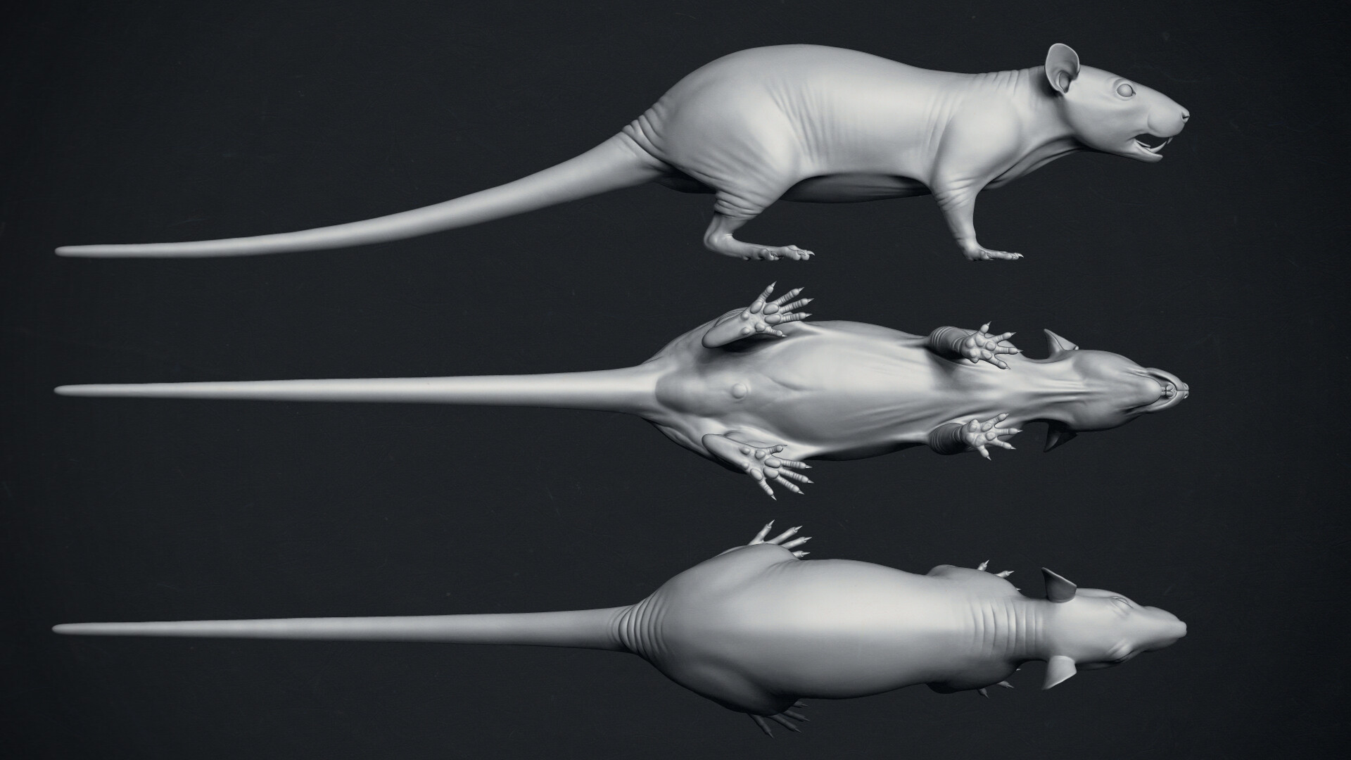 ArtStation - Rat - Highpoly