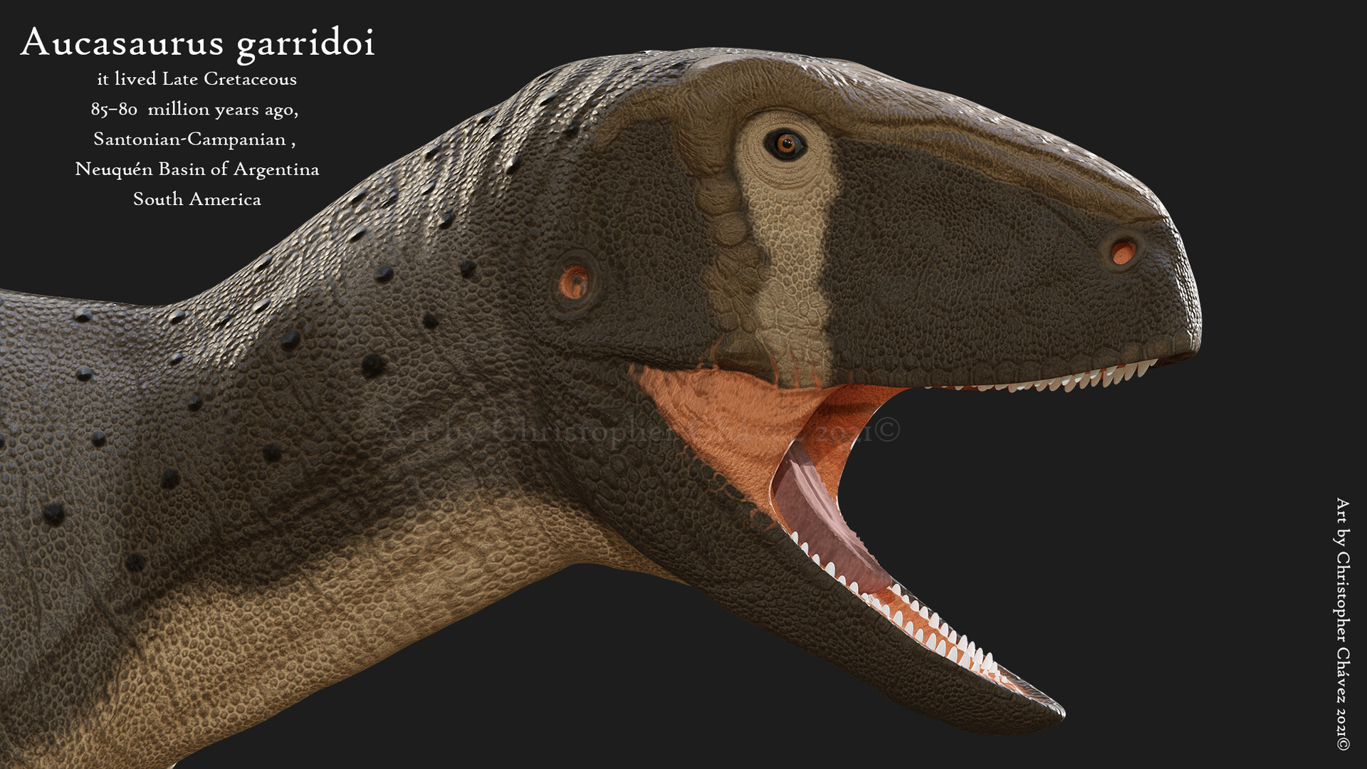 ArtStation - Aucasaurus garridoi