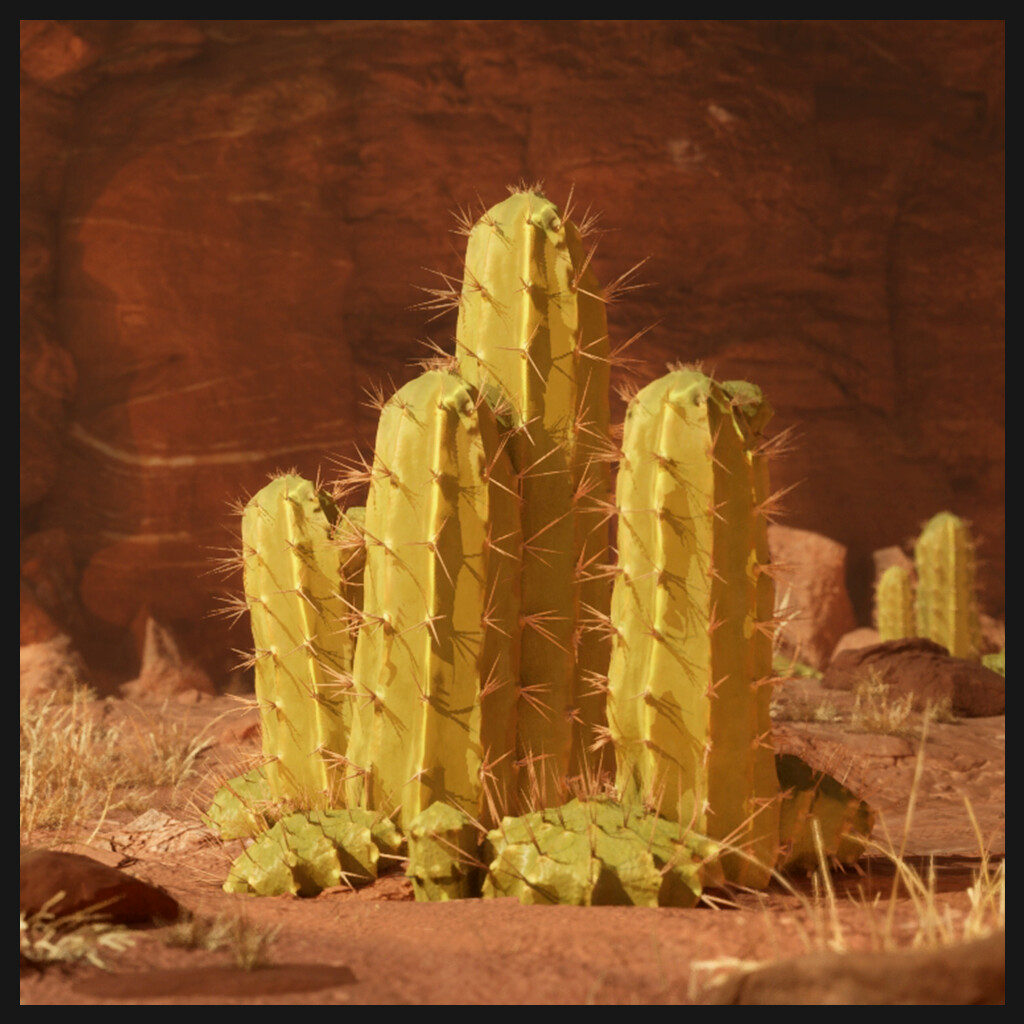 ArtStation - Procedural Cactus