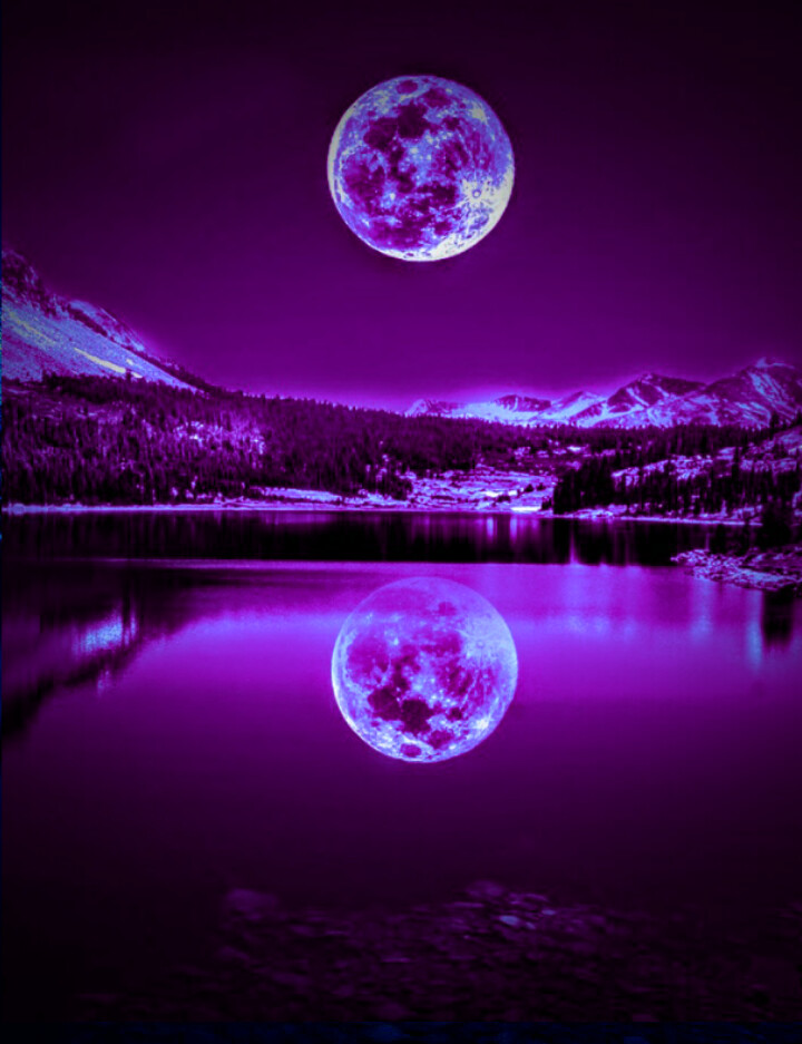 ZERO BEAR - I hope your like my drawings and photos