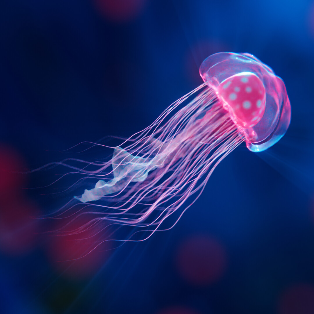 ArtStation - Nodevember Day 15-16: Blue